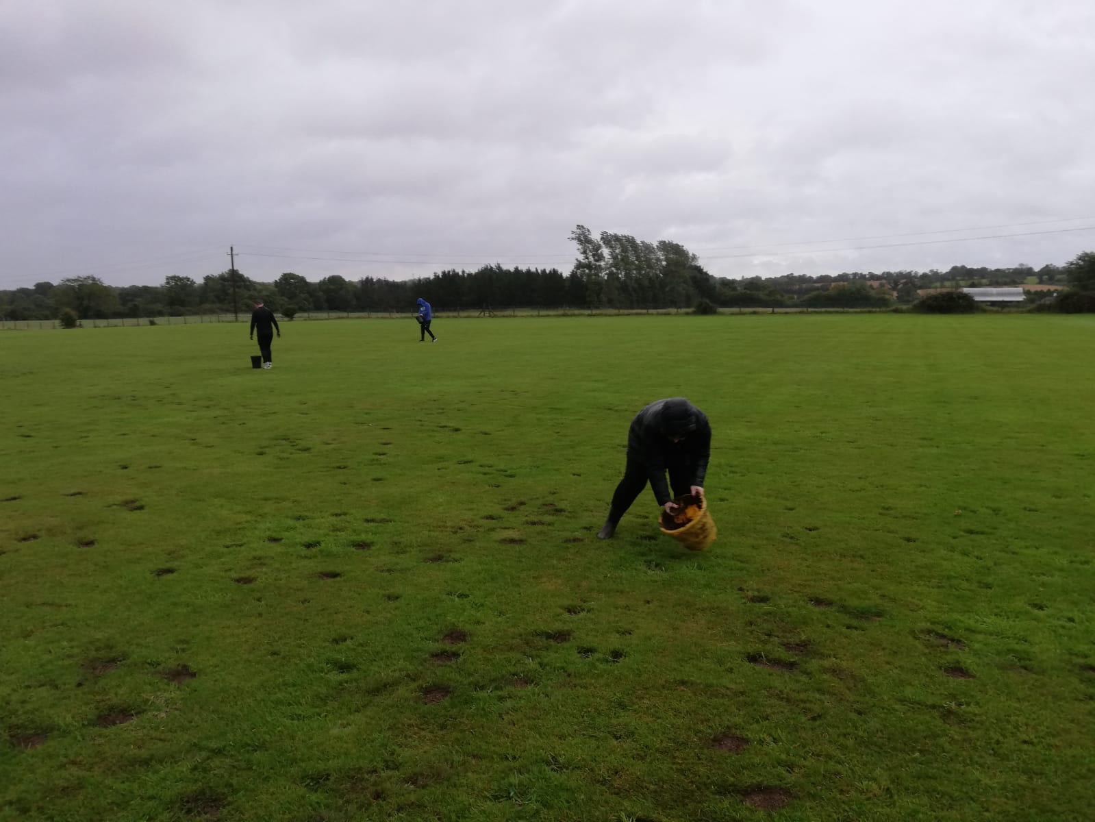 Stamullen FC – September 2020 – The Meath Coaster