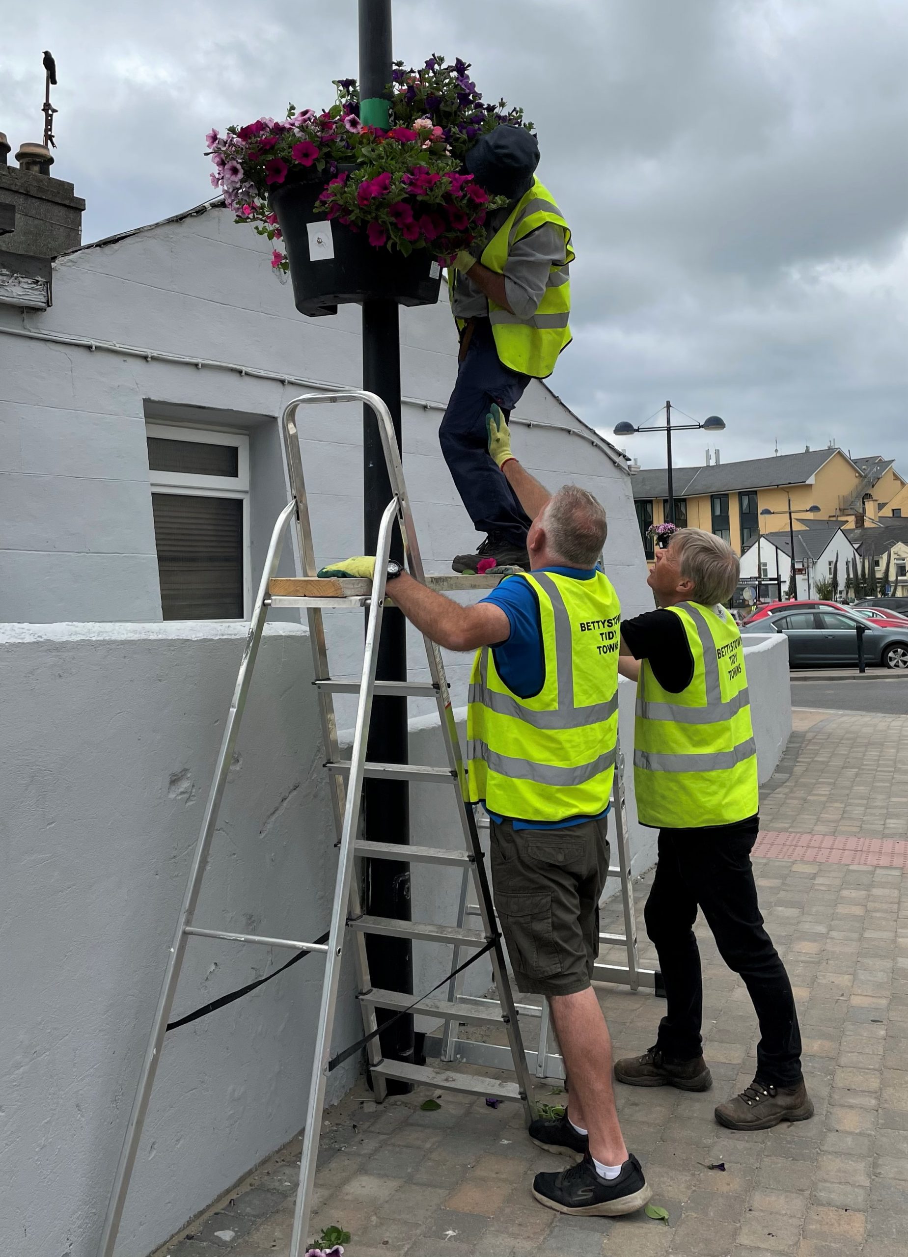 ladder work – The Meath Coaster