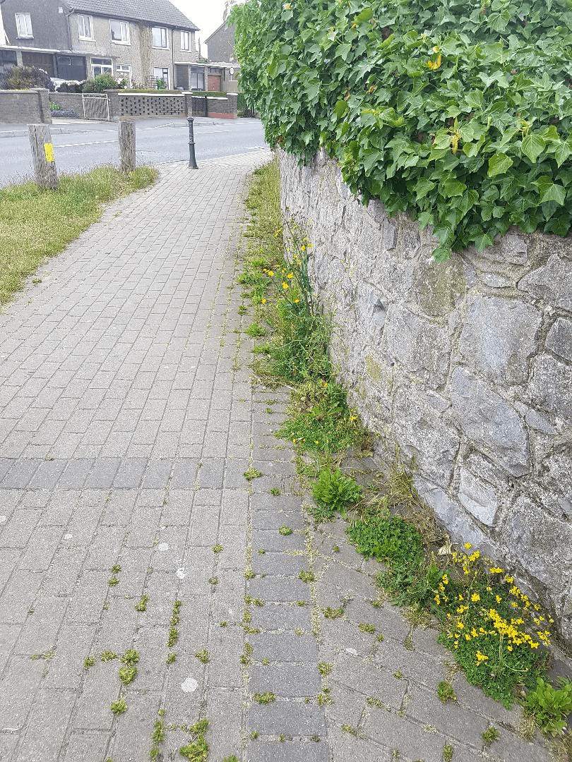 Laytown Tidy Towns – July 2021 – The Meath Coaster
