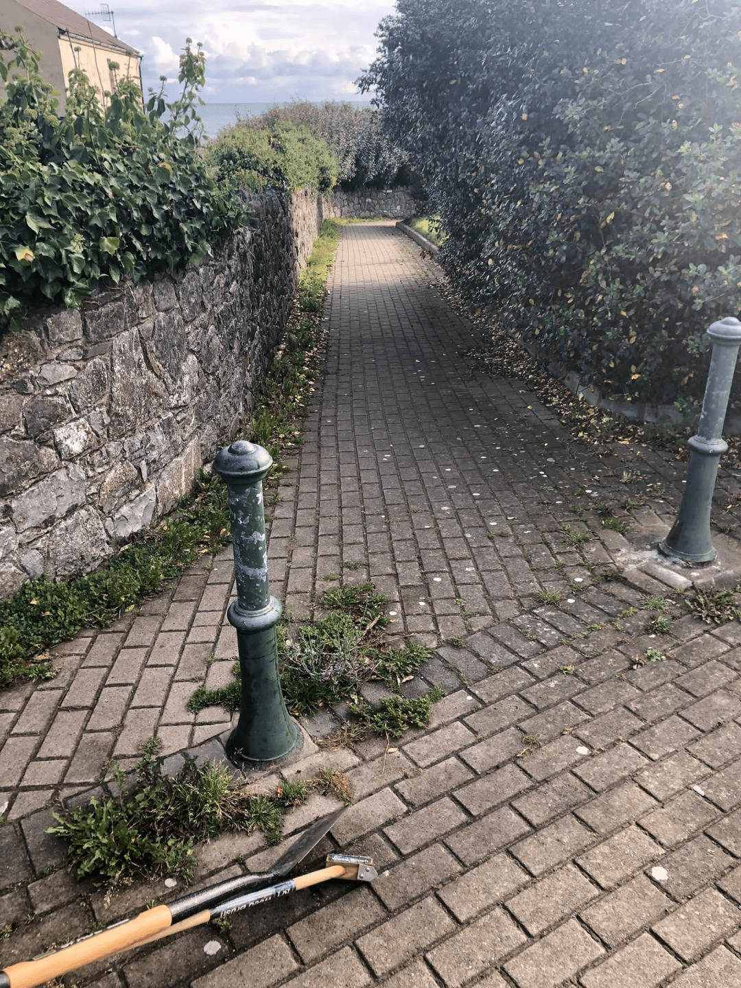 Laytown Tidy Towns – November 2021 – The Meath Coaster