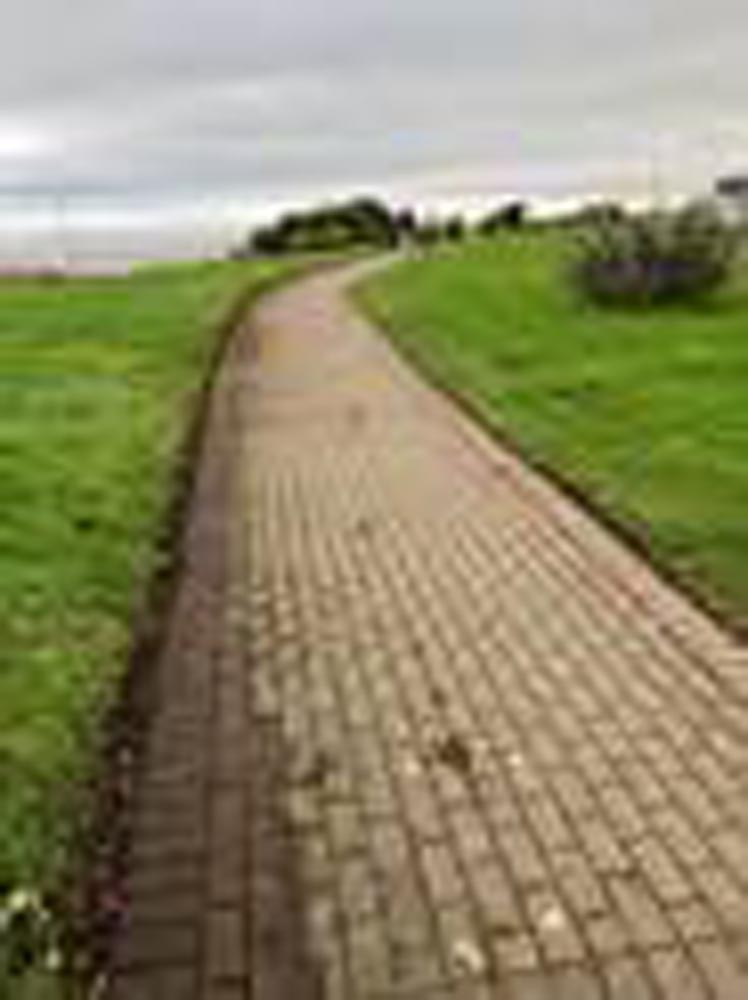 Laytown Tidy Towns – December 2021 – The Meath Coaster