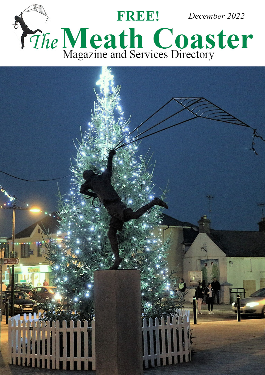 Library – The Meath Coaster