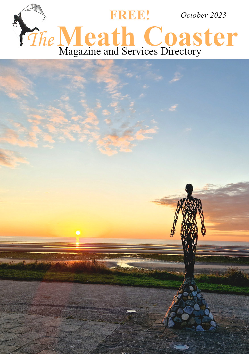 Library – The Meath Coaster