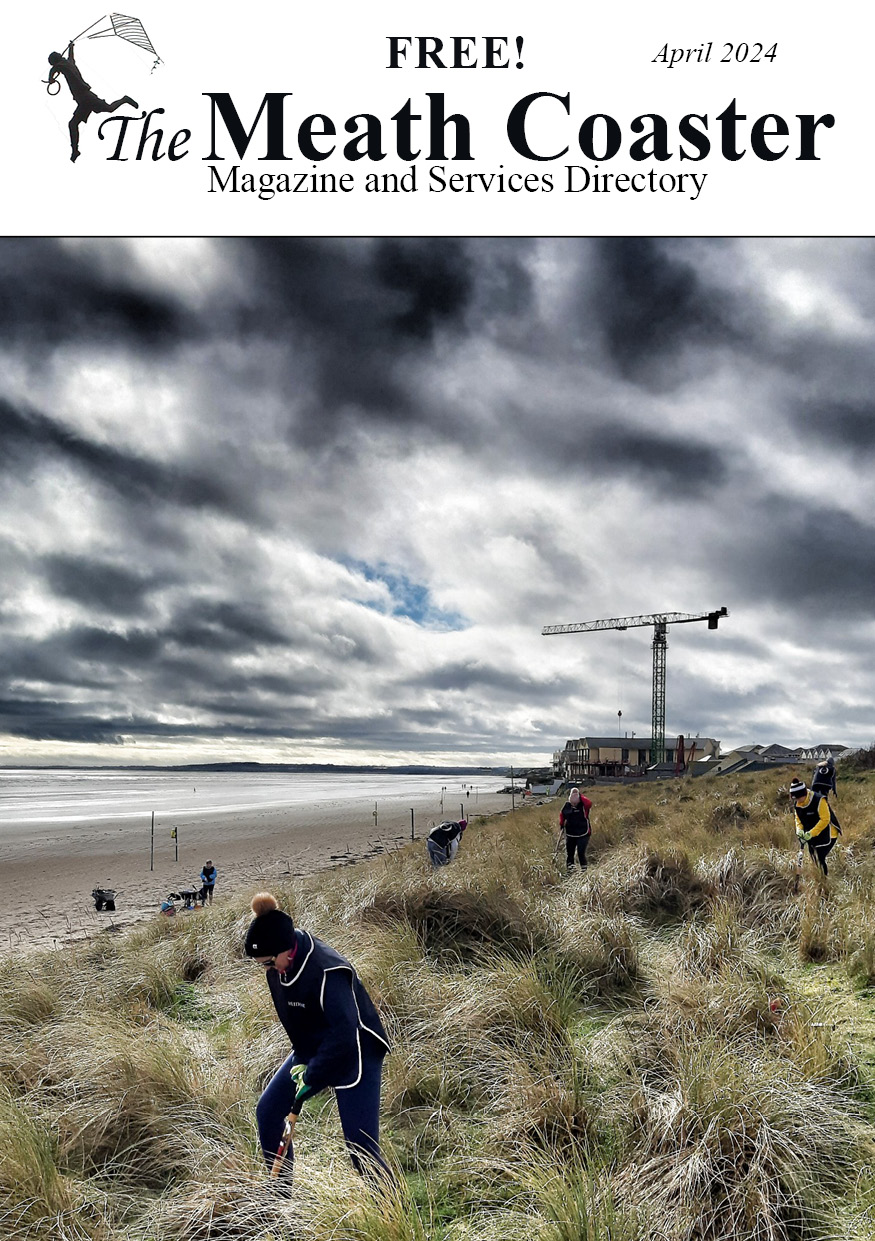 Library – The Meath Coaster